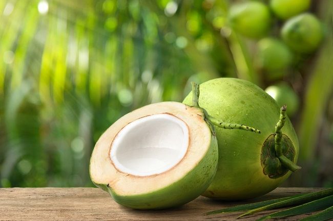 10 Manfaat Minum Air Kelapa untuk Kesehatan Tubuh - Kilas.co.id
